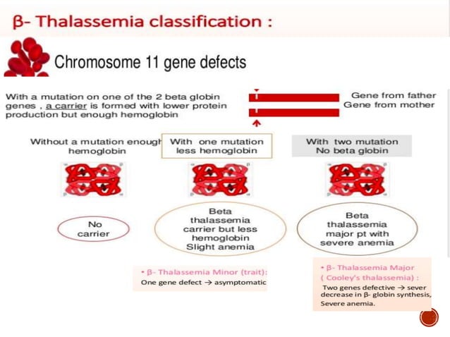 Sickle cell anemia and thalassemia