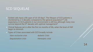 Sickle cell disease | PPTX | Blood Disorders | Diseases and Conditions