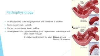 Sickle cell disease and anaeshesia | PPTX