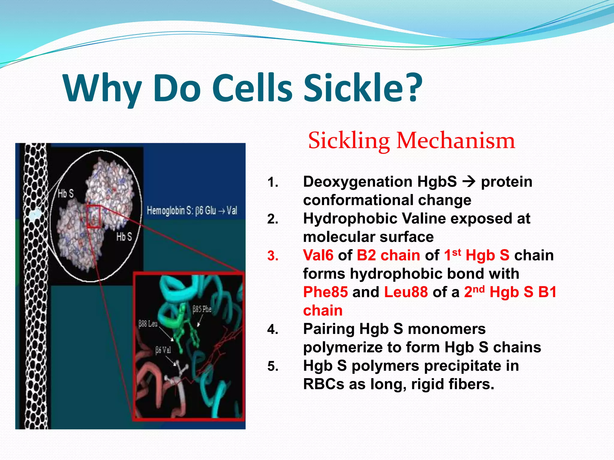 Sickle cell disease sandip | PPTX