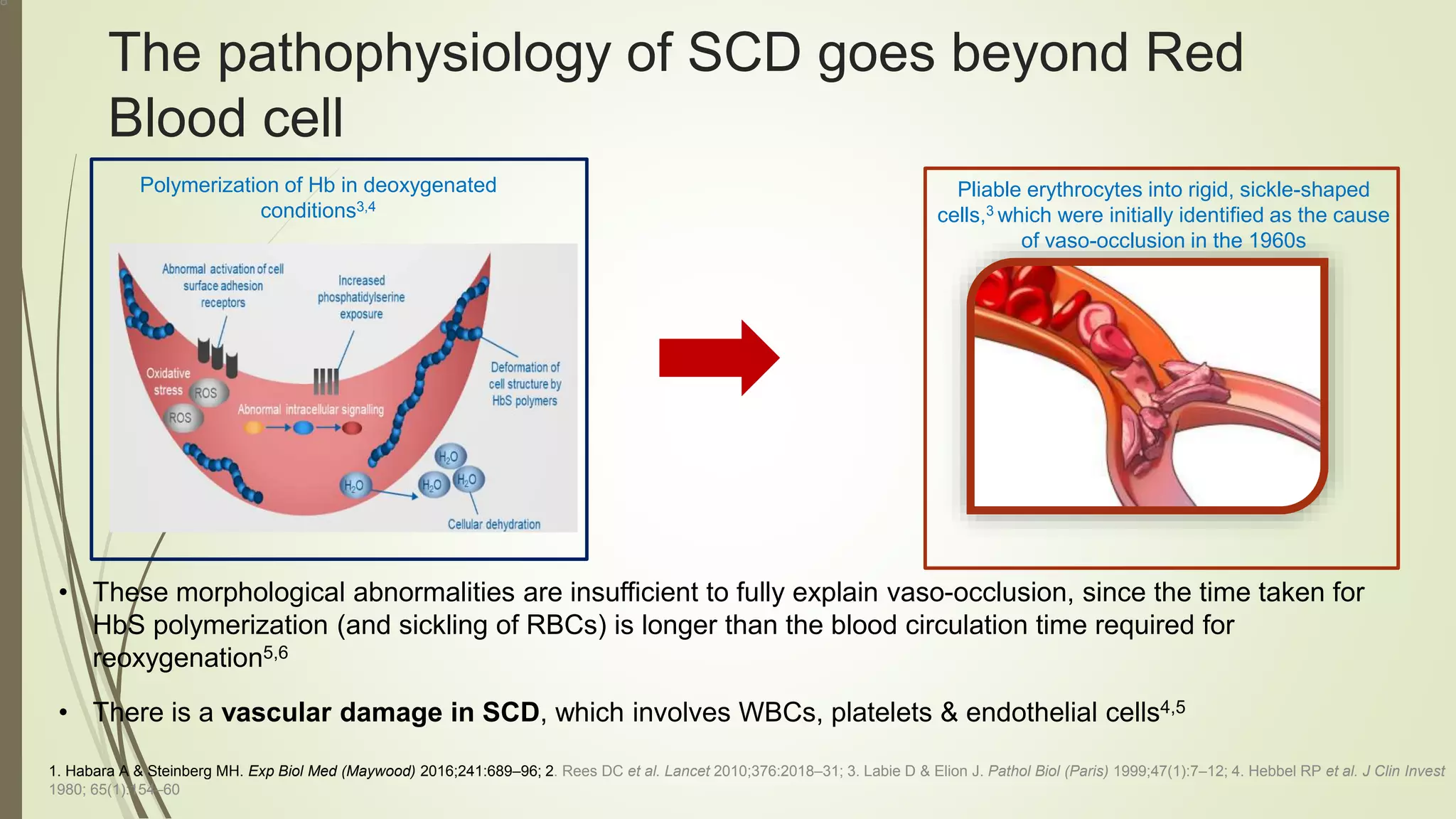 Sickle cell diseases & Beyond.pptx