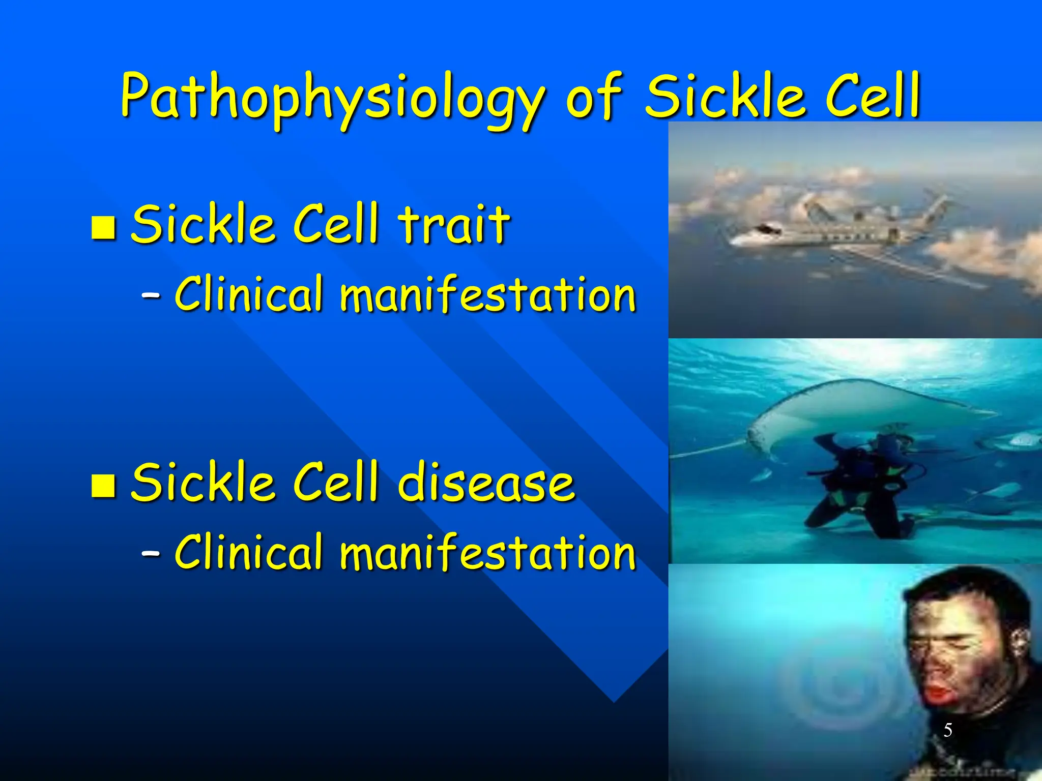 methods used for testing sickling test .ppt