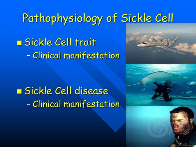 methods used for testing sickling test .ppt