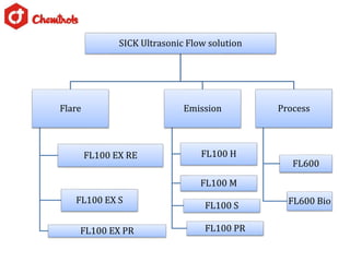SICK AG, Germany. Ultrasonic flow meter Product range | PPT