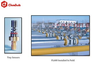 SICK AG, Germany. Ultrasonic flow meter Product range | PPT