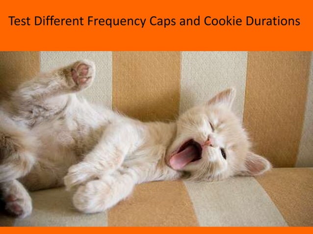 Top 5 PPC Fails | PPT