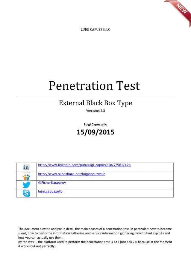 penetration testing - black box type. | PDF
