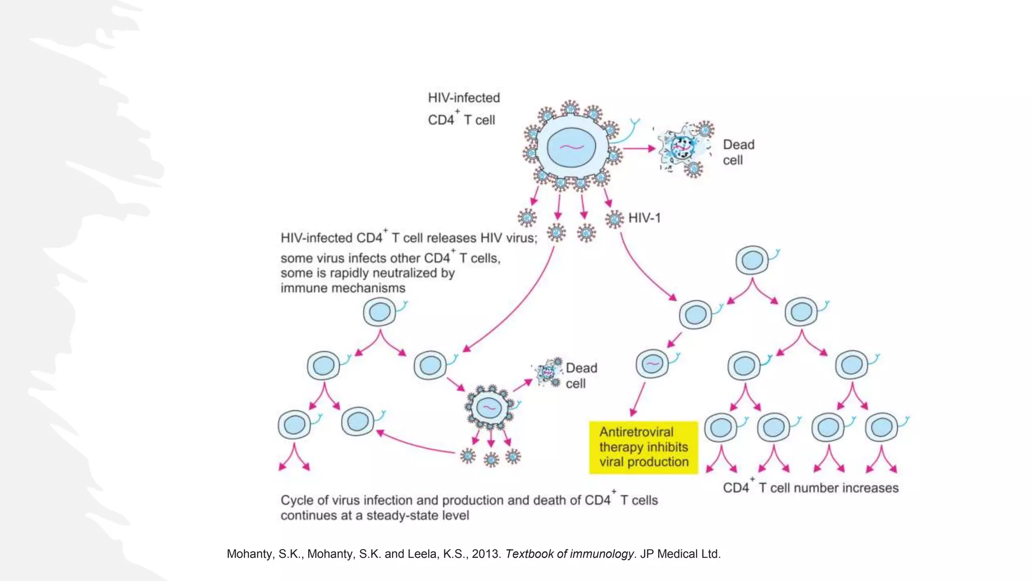 Secondary Immunodeficiency | PPTX