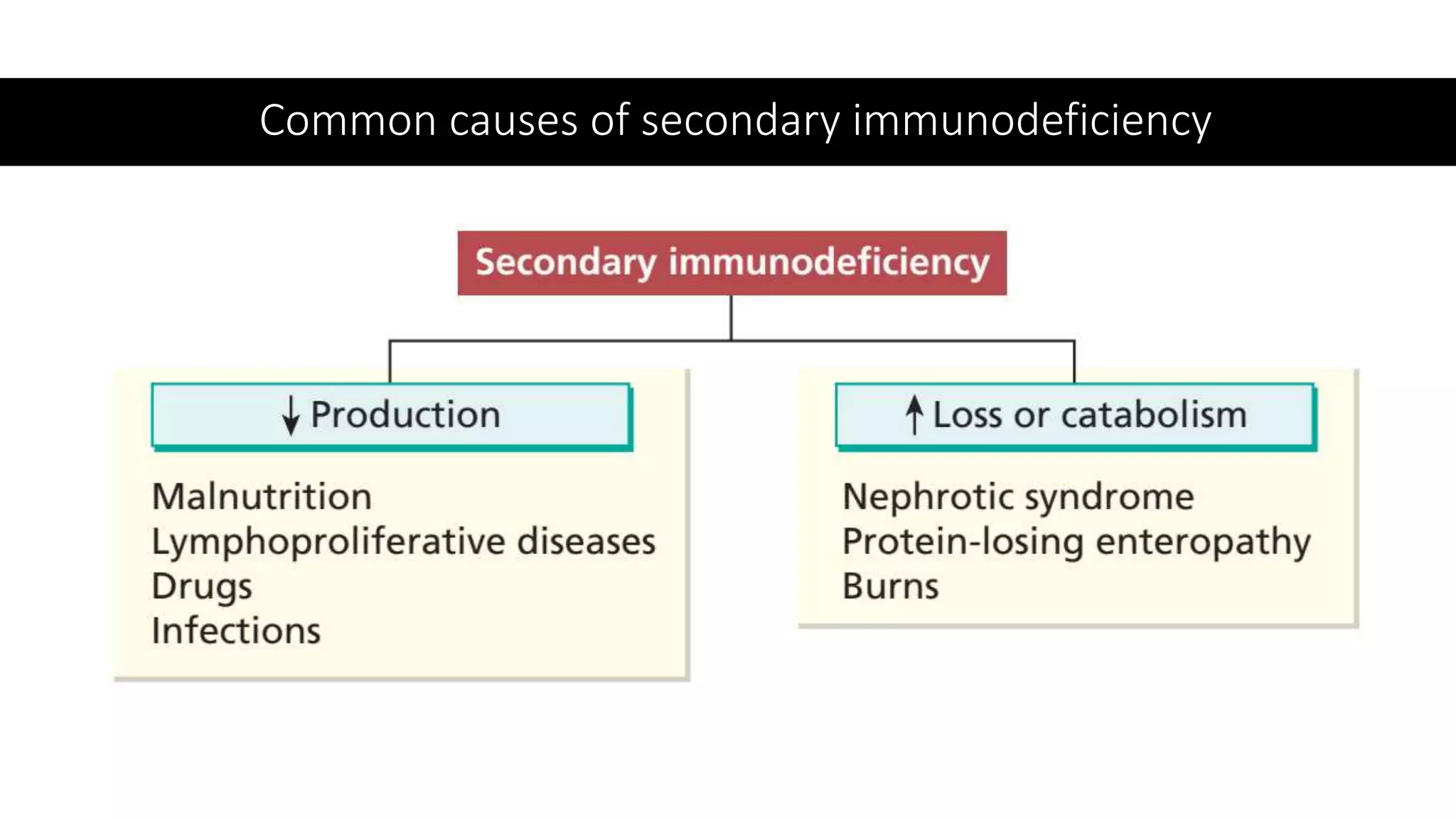 Secondary Immunodeficiency | PPTX