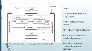 Pharmacokinetics and Compartmental modelling.pptx