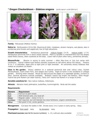 Sidalcea oregana | PDF