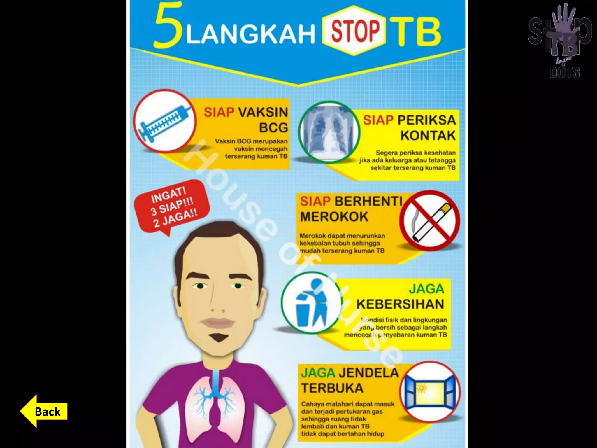 Tuberkulosis (TBC) dengan program DOTS | PPTX