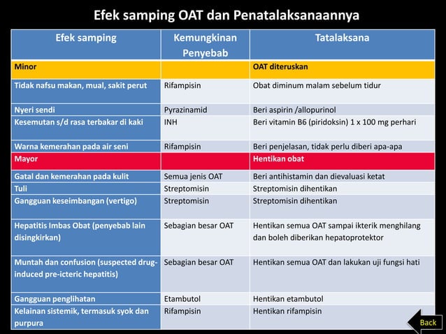 Tuberkulosis (TBC) dengan program DOTS | PPTX