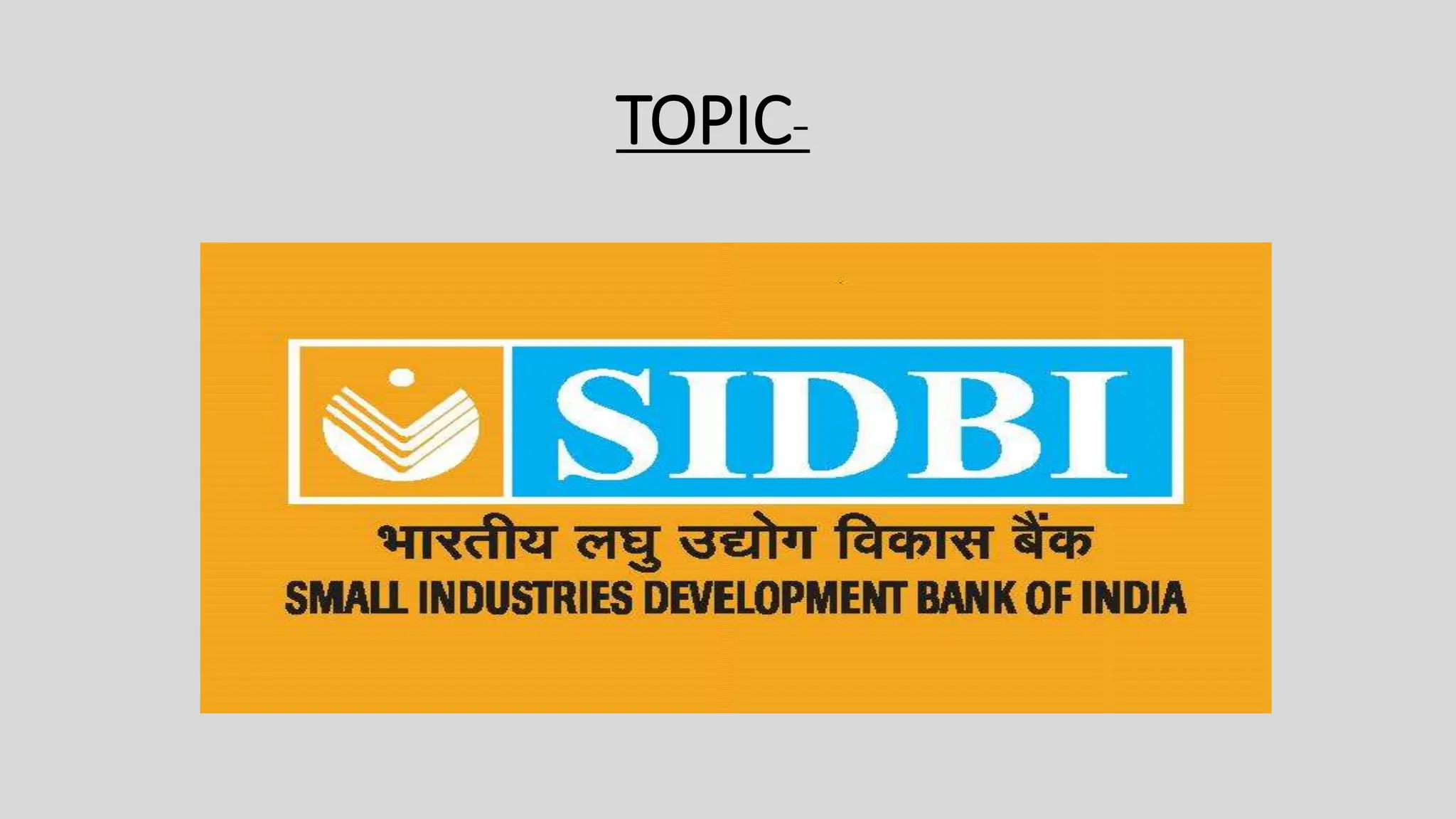 SMALL INDUSTRIES DEVELOPMENT BANK OF INDIA PPT | PPT