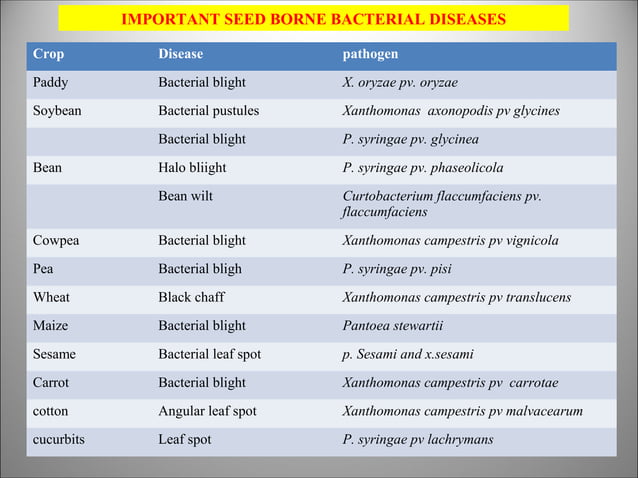 ADVANCE TECHNIQUES FOR IDENTIFICATION OF SEED BORNE DISEASES | PPT