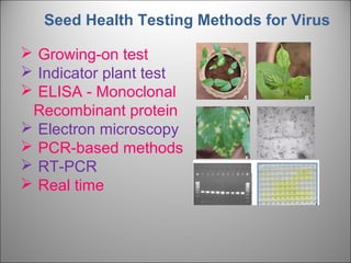 ADVANCE TECHNIQUES FOR IDENTIFICATION OF SEED BORNE DISEASES | PPT