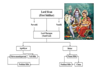 Siddha system of medicine | PPT