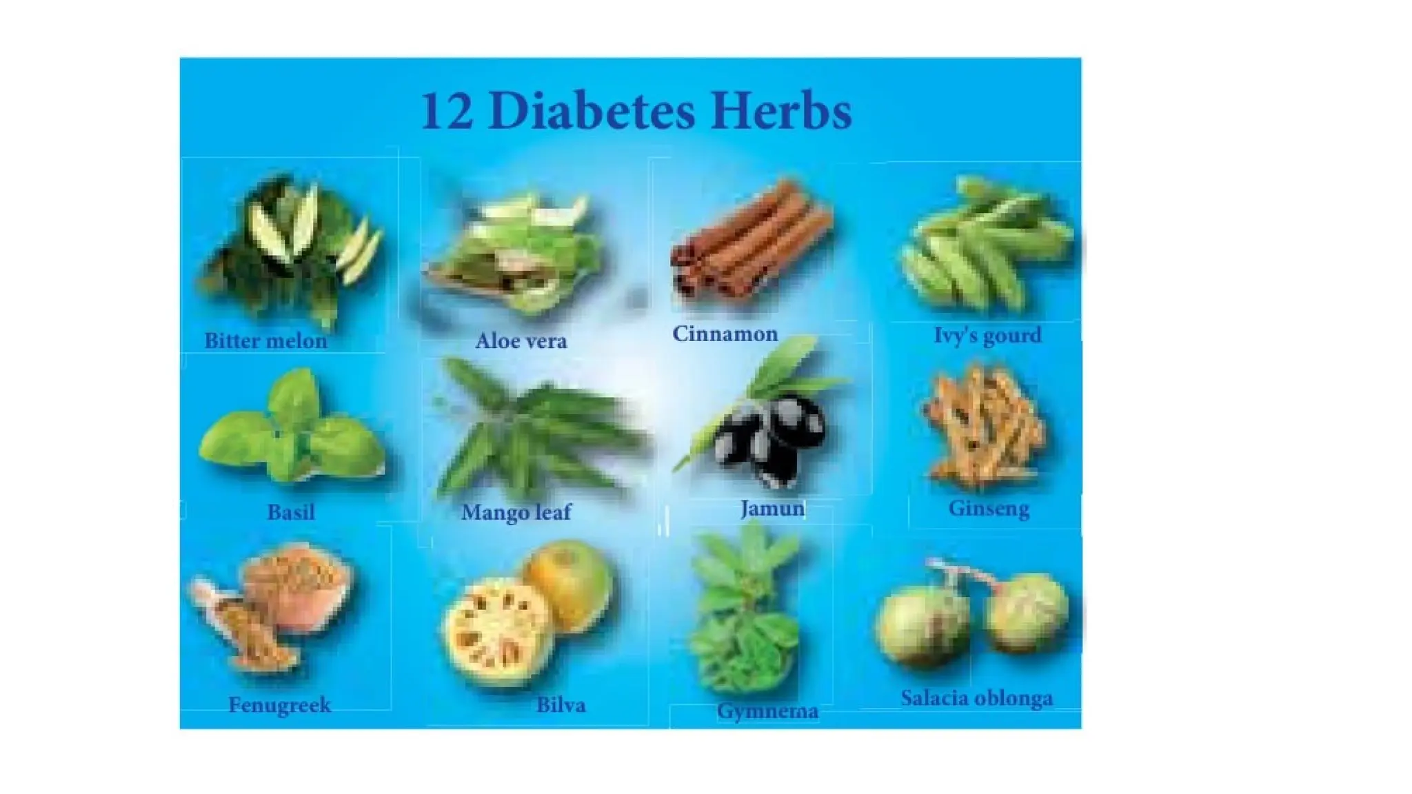 Siddha Ayurveda Medicinal Plants- modified.pptx