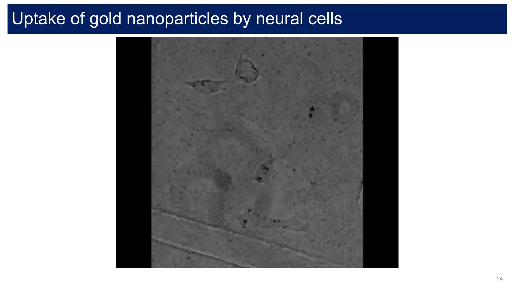Cellular uptake of nanoparticles (metals) | PPT