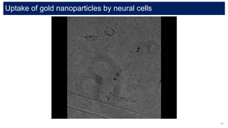 Cellular uptake of nanoparticles (metals) | PPTX