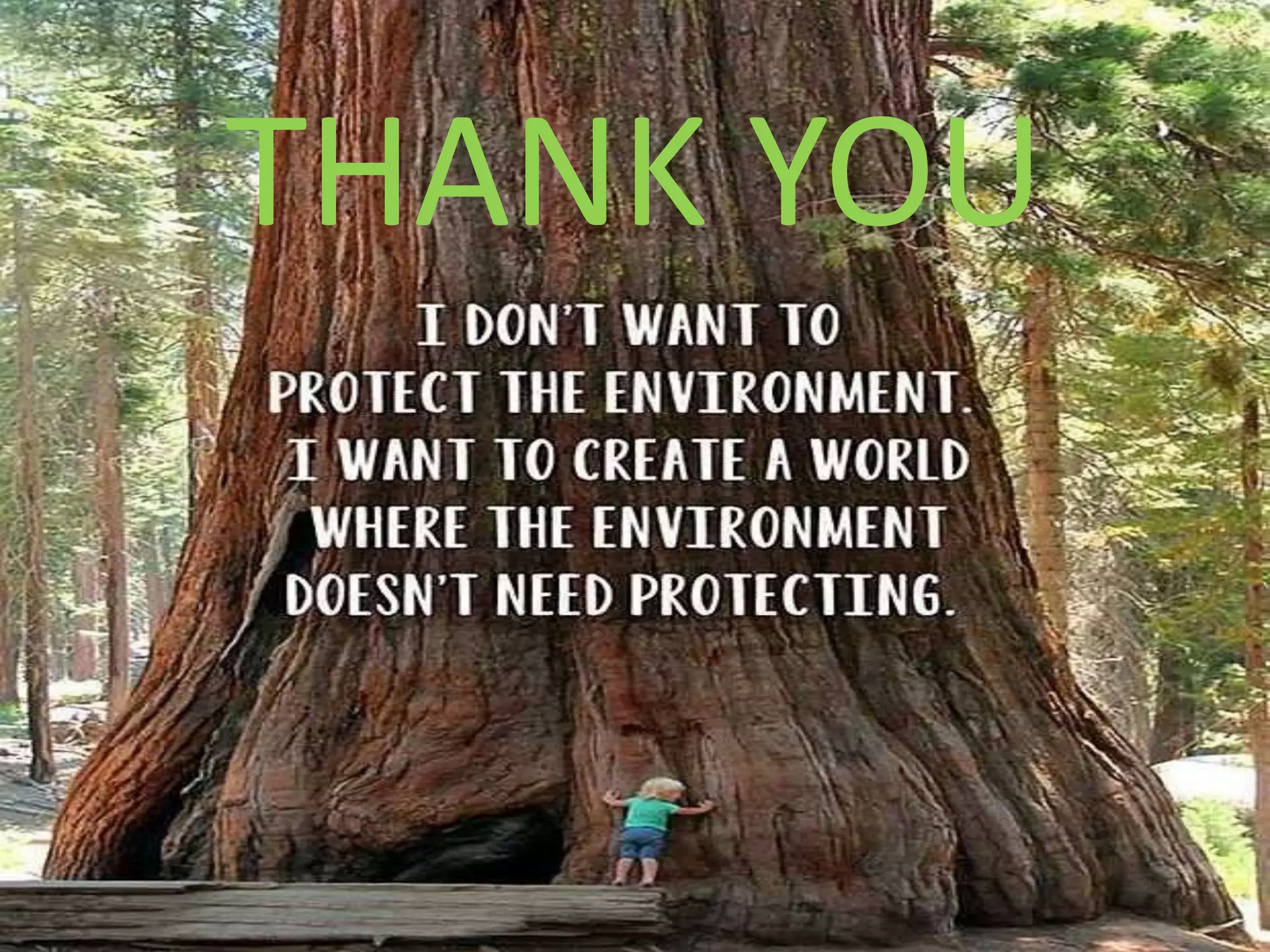 Gandhi on environmental protection: ideas of Gandhi on environment ...