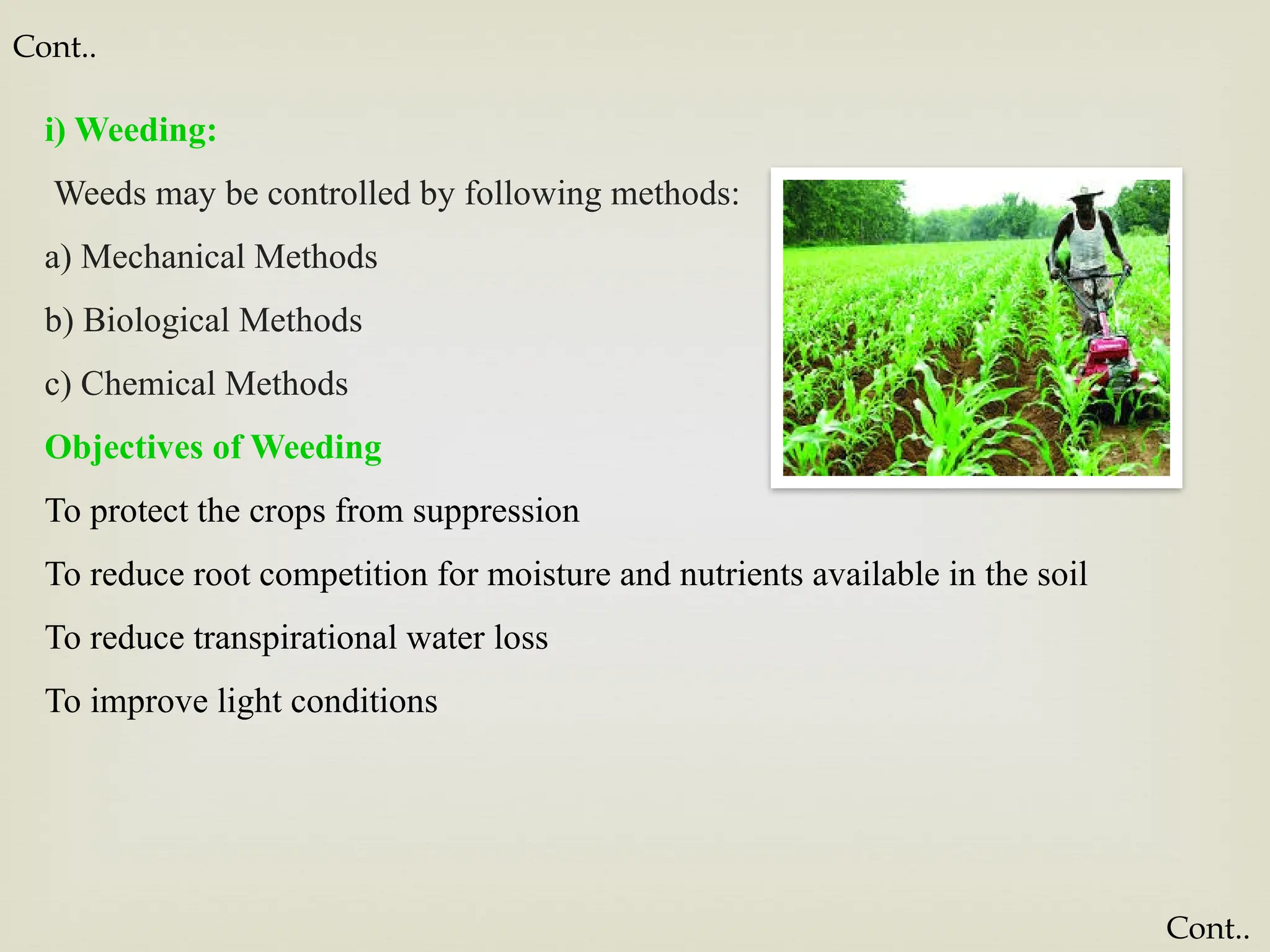 Forest classification of forest according to their area | PPTX