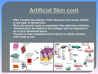 artificial skin technique | PPTX