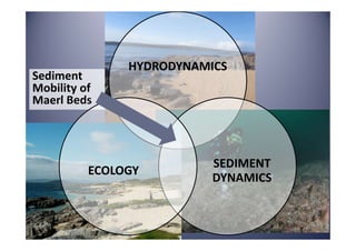 Sediment mobility modelling and maerl habitat dynamics in Galway Bay ...