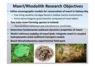 Sediment mobility modelling and maerl habitat dynamics in Galway Bay ...