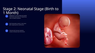 Anatomy stages of human ontogenesis presentation | PPTX