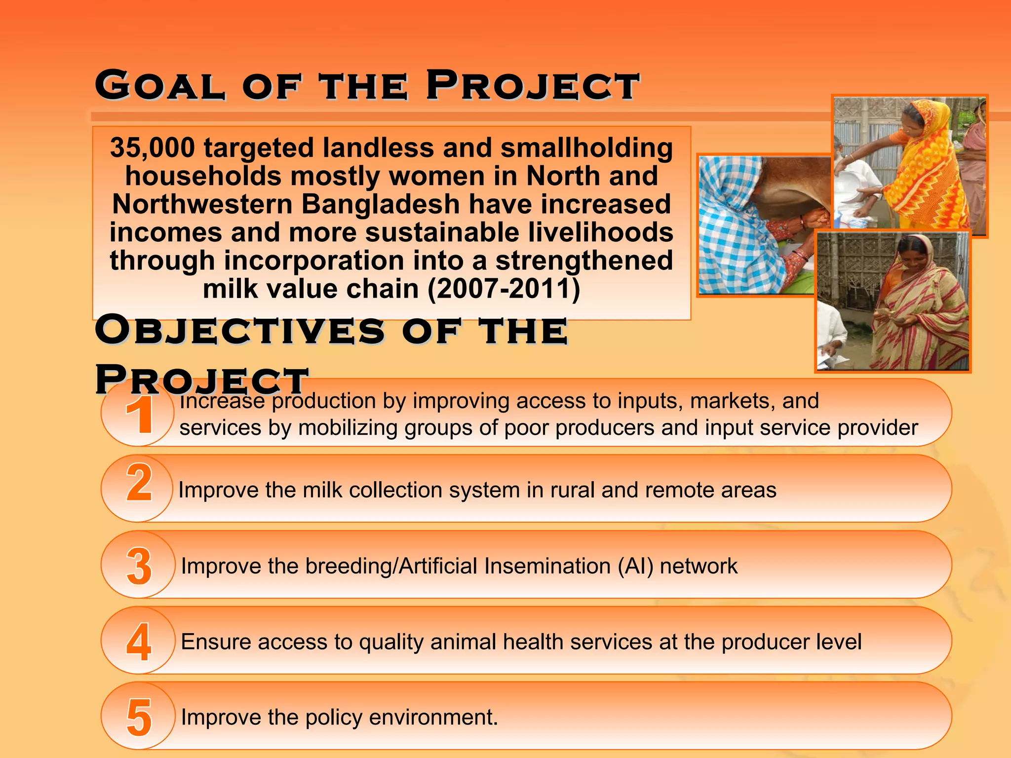 Strengthening the Dairy Value Chain in Bangladesh: Changing lives for ...