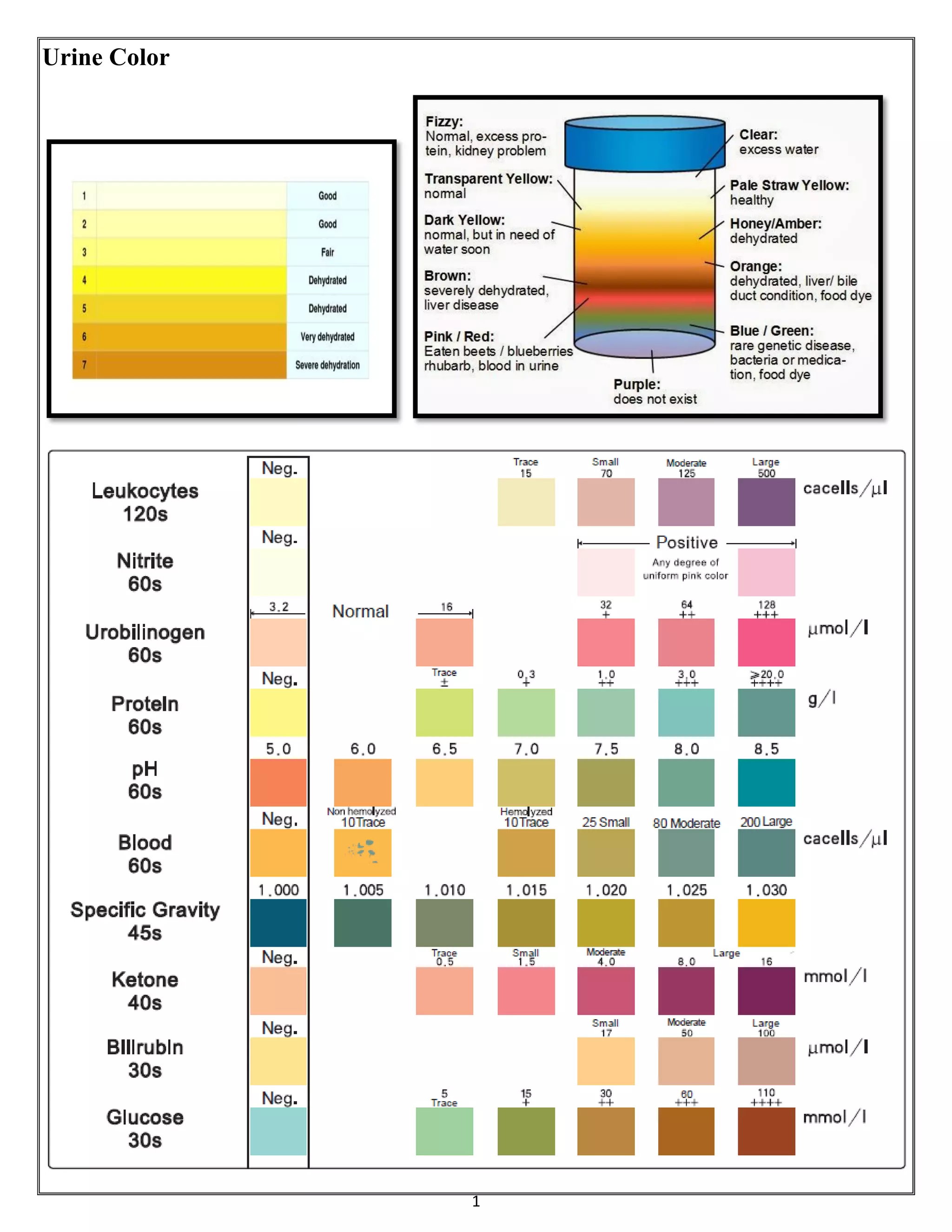 Urine analysis & Hematology Slides | PDF
