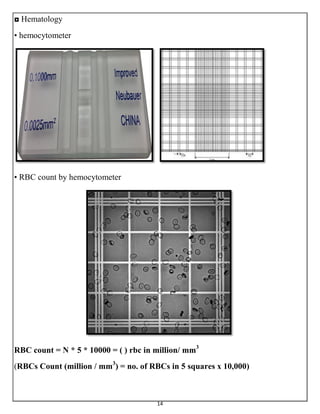 Urine analysis & Hematology Slides | PDF