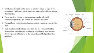 Side effects of bright light.pptx