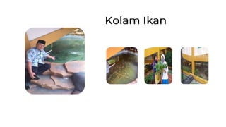 Side image animation.pptx