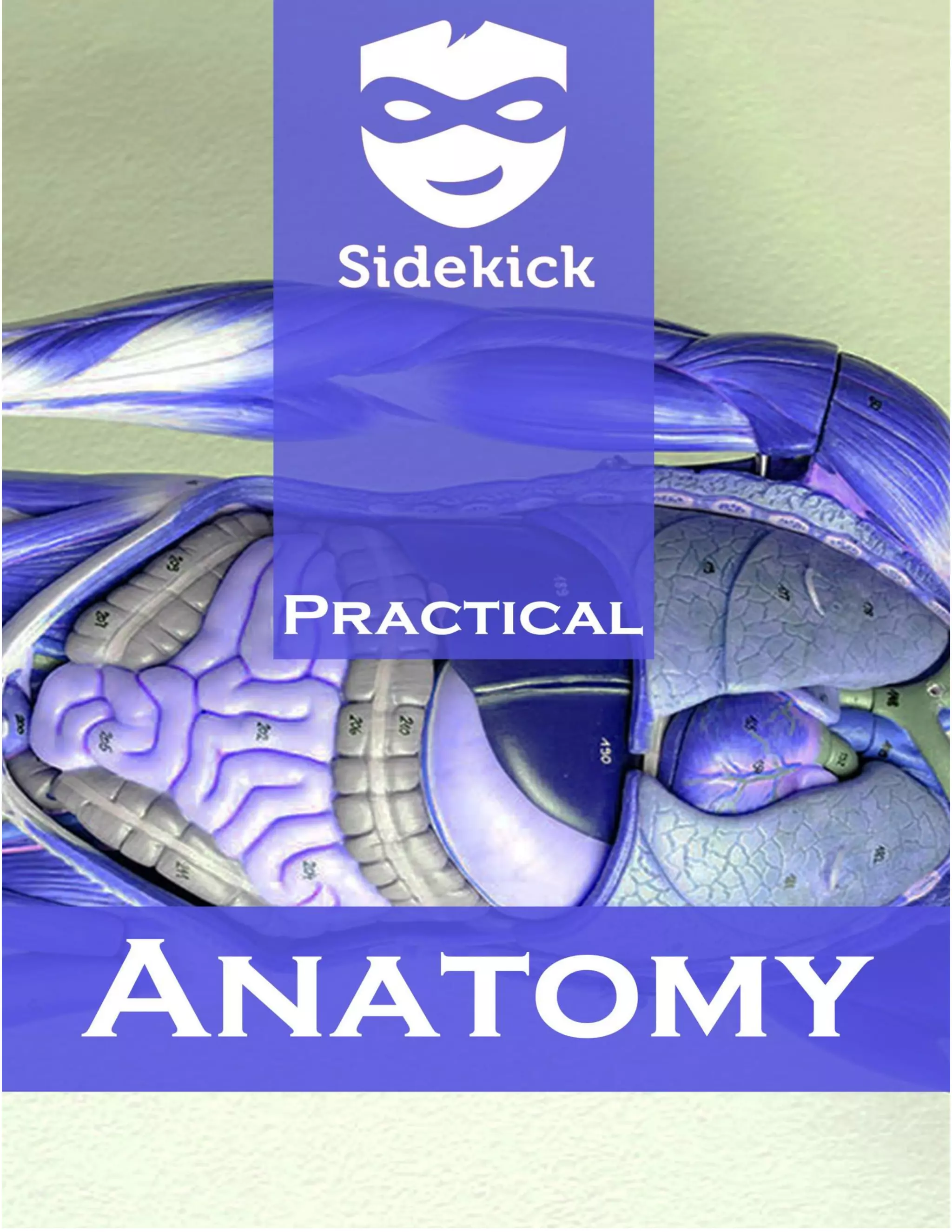 Side kick git anatomy practical explained | PDF