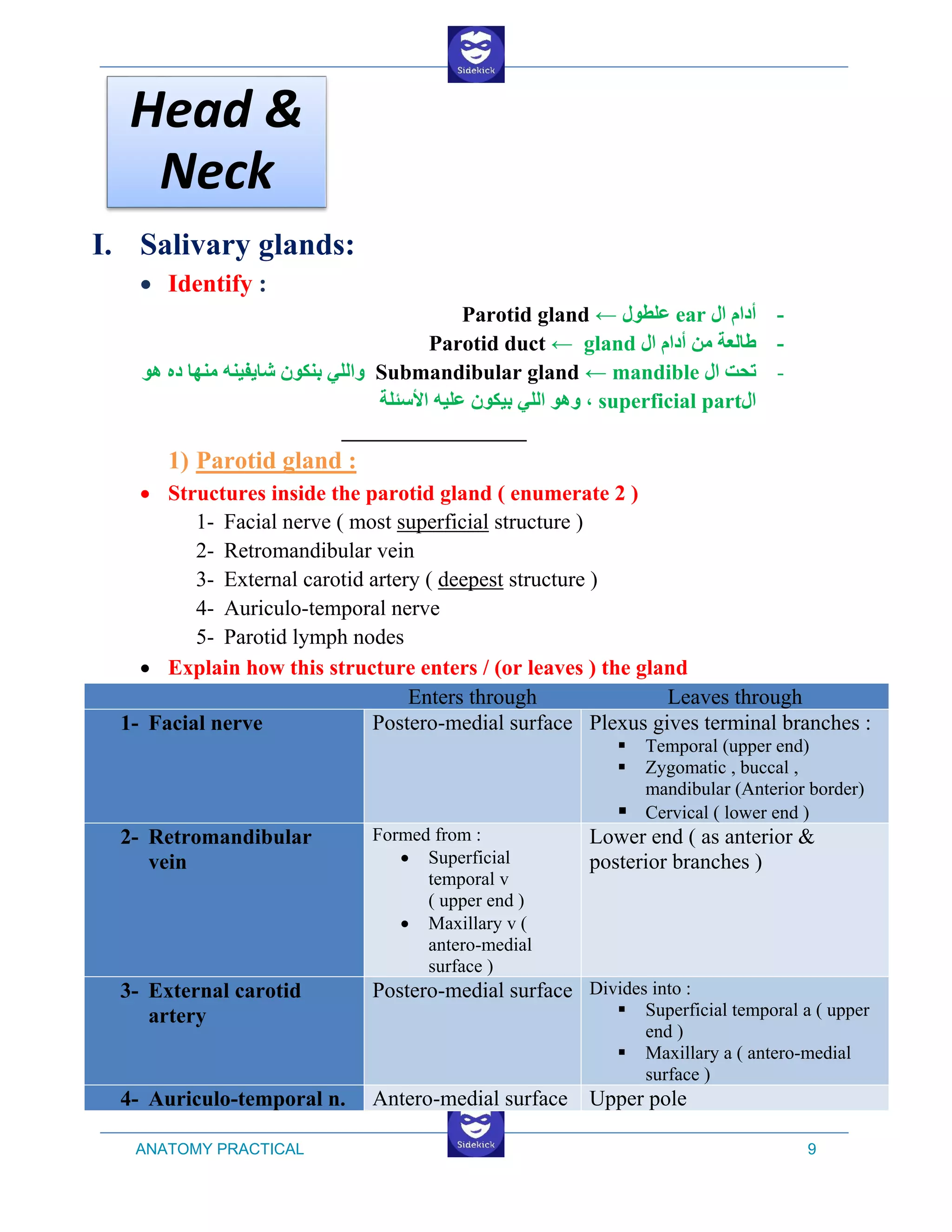 Side kick git anatomy practical explained | PDF | Ear, Nose and Throat ...