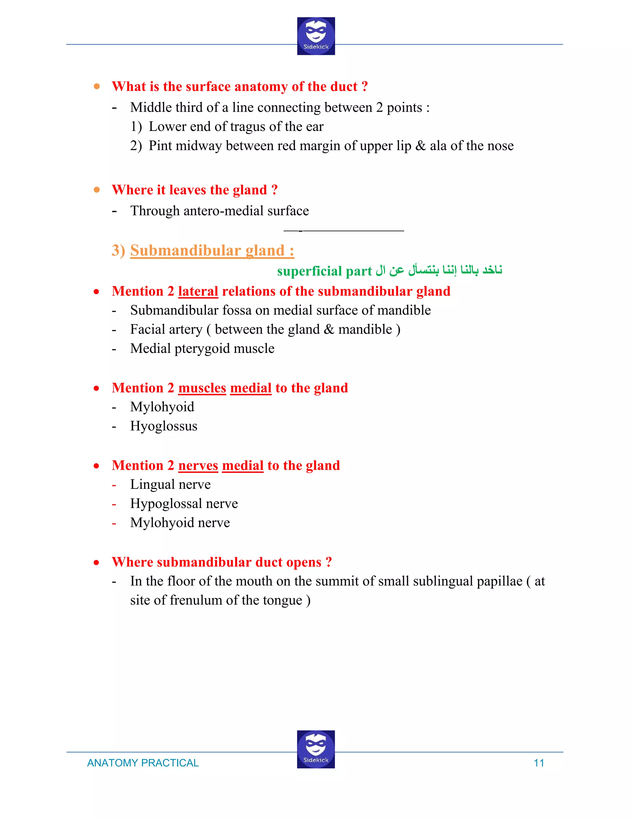 Side kick git anatomy practical explained | PDF | Ear, Nose and Throat ...