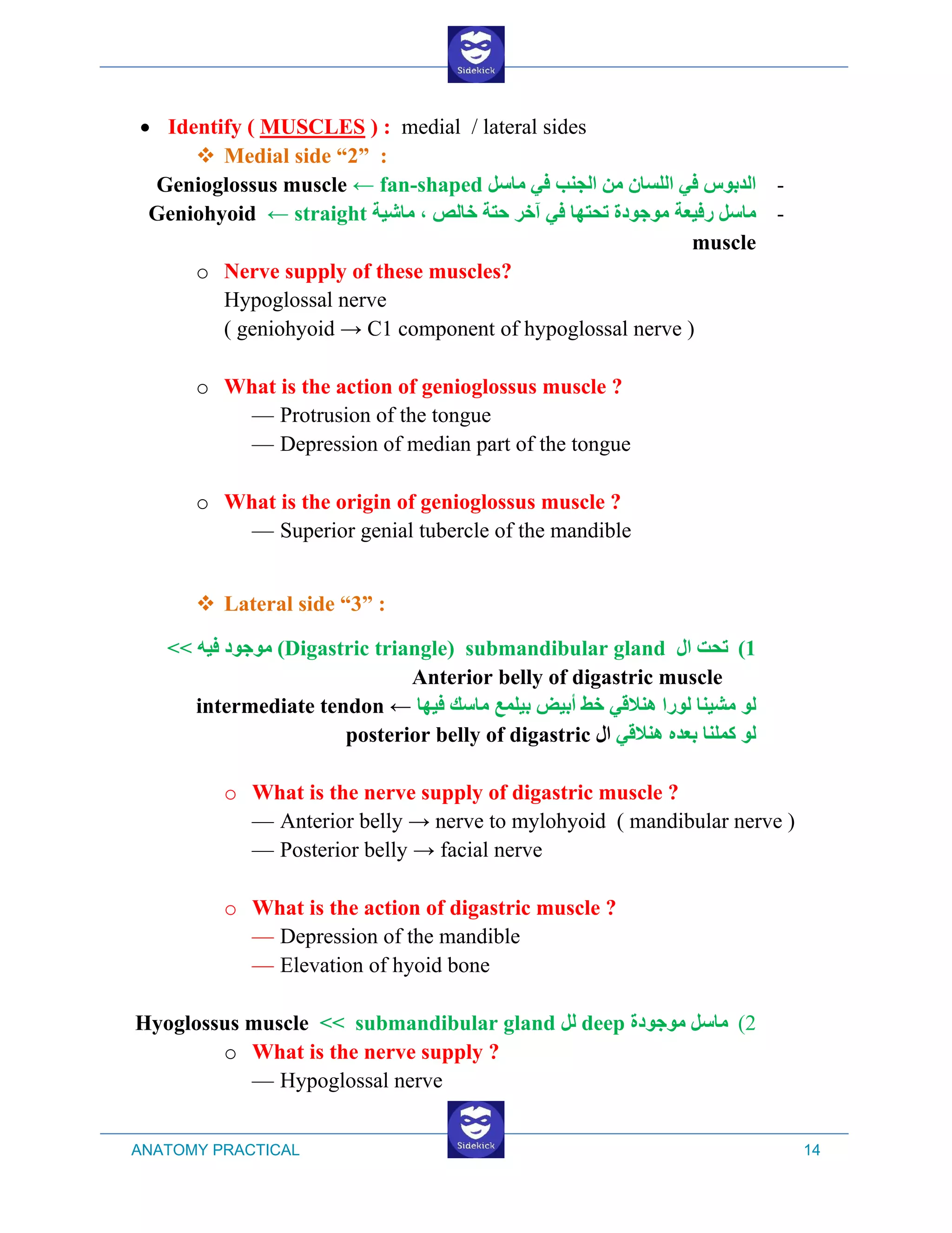 Side kick git anatomy practical explained | PDF