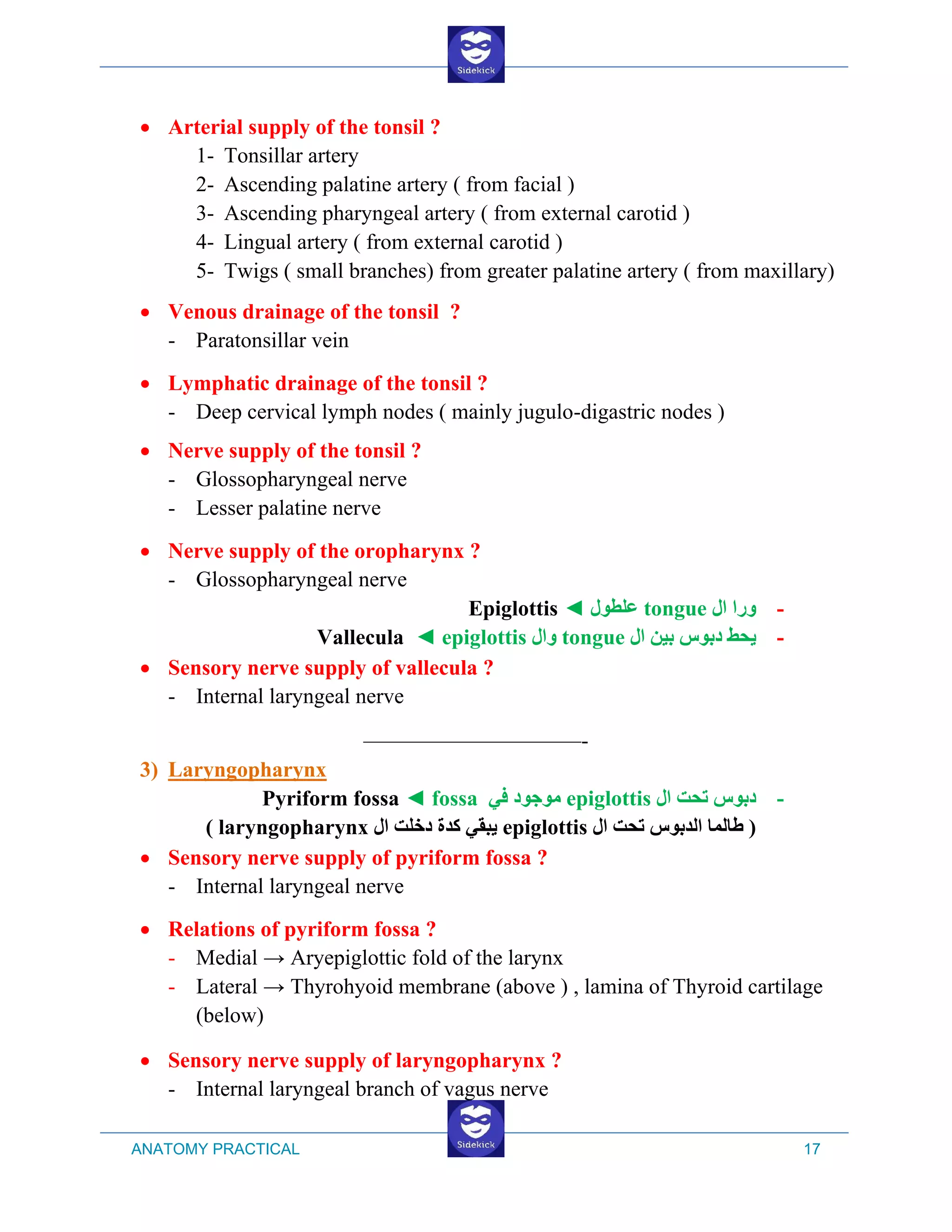 Side kick git anatomy practical explained | PDF