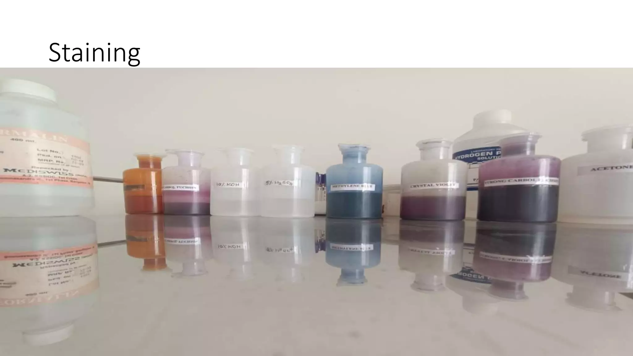 SIDE LAB INVESTIGATIONS IN DERMATOLOGY srt-1.pptx