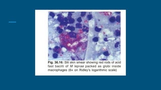 SIDE LAB PROCEDURES .pptx