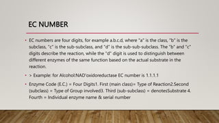 SID_ENZYMES.pptx