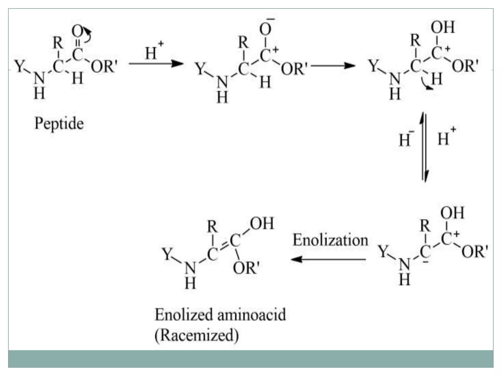 Side reaction in peptide synthesis | PPTX