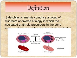 Sideroblastic anaemia short PPT for students.pptx. | PPTX