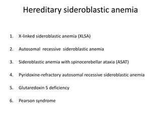 Sideroblastic Anemia Pathophysiology