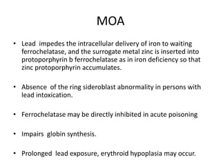 Sideroblastic Anemia Pathophysiology