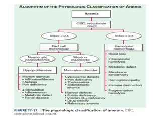 Sideroblastic Anemia Pathophysiology
