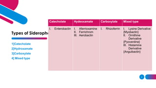 SIDEROPHORE.........................pptx