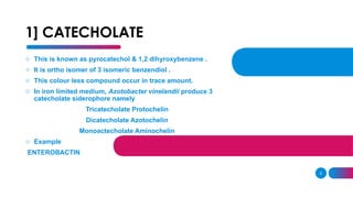 SIDEROPHORE.........................pptx